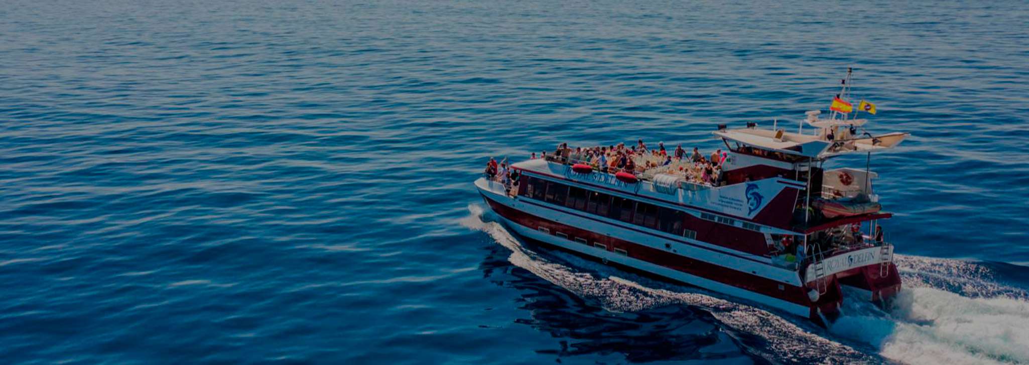 Royal Delfin-Catamarán Tenerife | Atlantico Excursiones